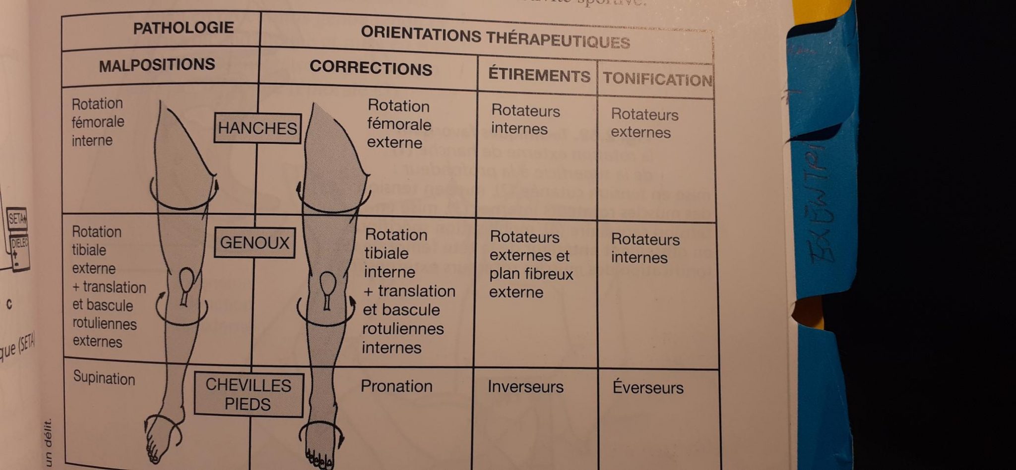 Syndrome rotulien : comment se soigner efficacement